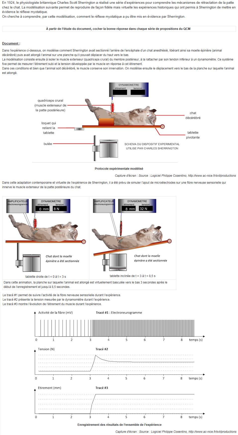 Expériences de Sir Sherrington : comprendre ce... - [] - QCM n° 69