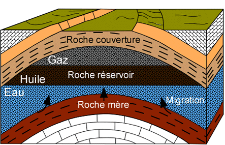 Le pétrole est une roche liquide d'origine naturelle,... - [1ère SVT ...