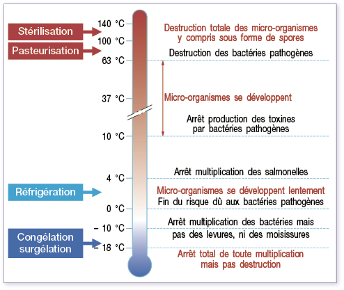 [2nde] Thème 3 - Corps humain et santé - Sujet : Conservation des ...