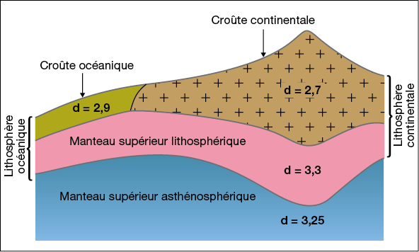 La croûte continentale est formée d'une grande... - [1ère Spécialité ...