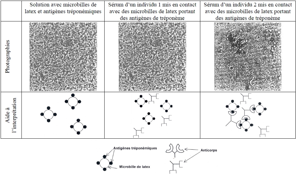 [1ère Spé SVT] Thème 5 - Le fonctionnement du système immunitaire ...