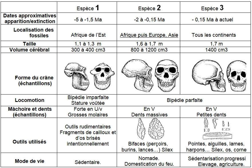 [] Thème 3 - Une histoire du vivant - Sujet : Tous les hominidés ...