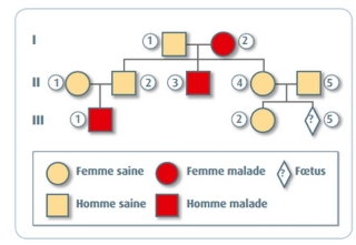 [1ère Spé SVT] Thème 4 - Variation génétique et santé - Sujet : Une ...