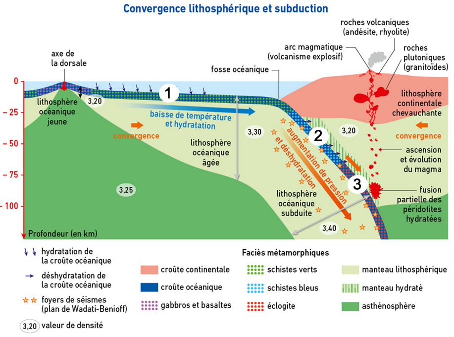 [1ère Spé SVT] Thème 2 - La dynamique interne de la Terre - Sujet : Les ...