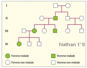 [1ère Spé SVT] Thème 1 - Transmission, variation et expression du patrimoine génétique - Sujet ...