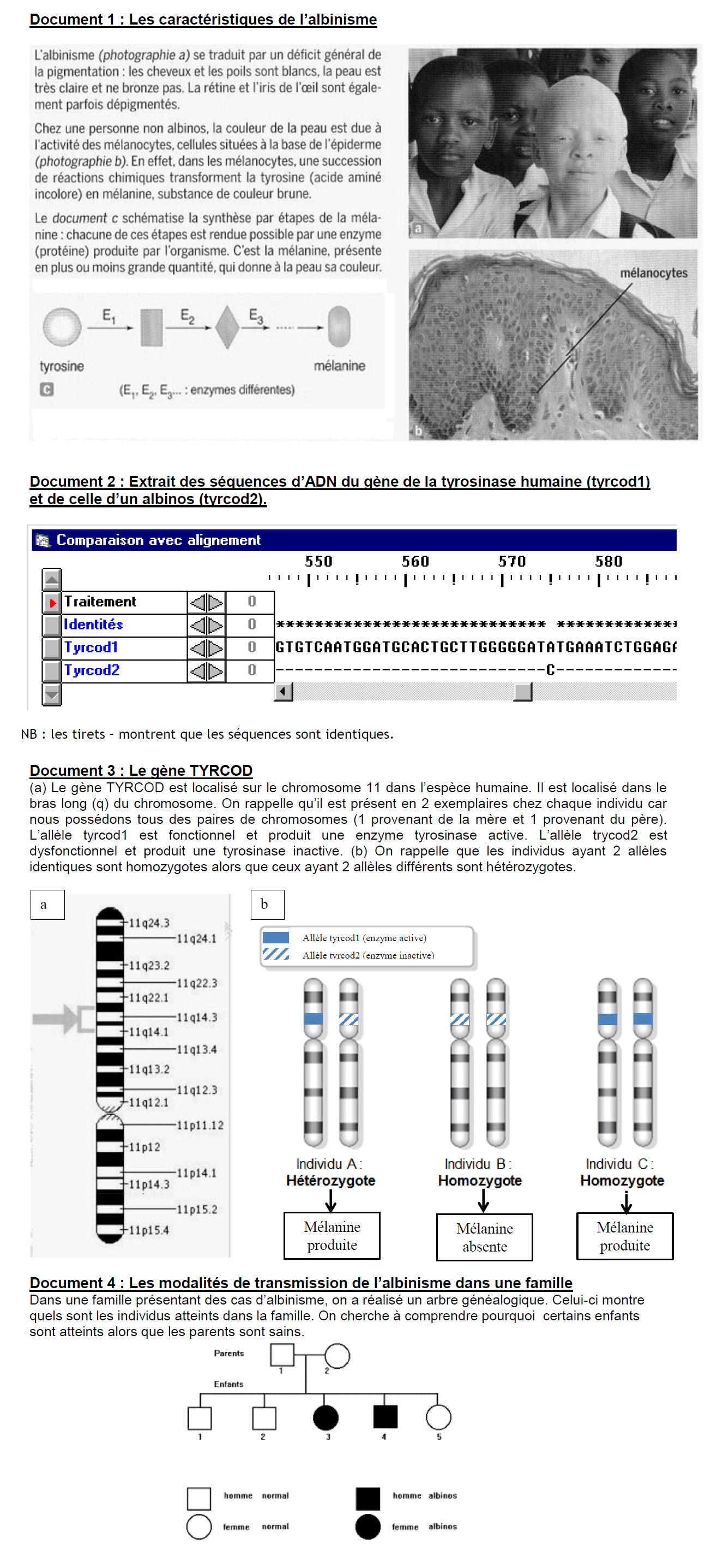 [1ère Spé SVT] Thème 4 - Variation génétique et santé - Sujet ...
